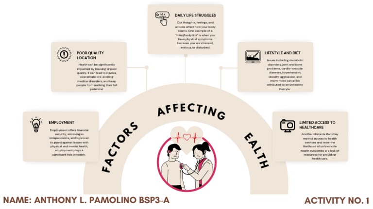 Factors Affecting Health | PDF