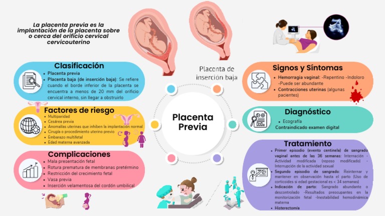 Placenta Previa | PDF | Placenta | Salud maternal