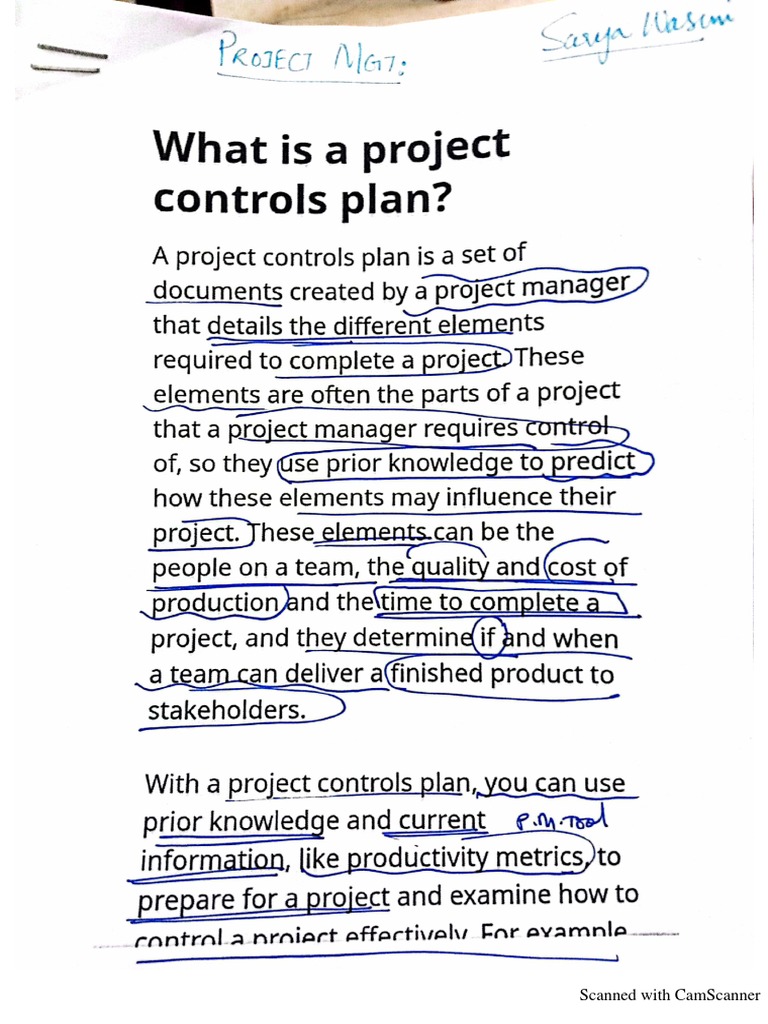 Project Controls Plan | PDF