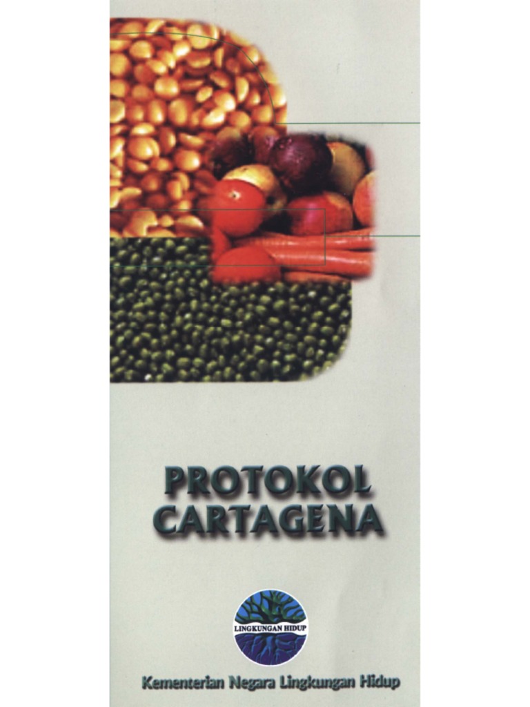 Protokol Cartagena | PDF