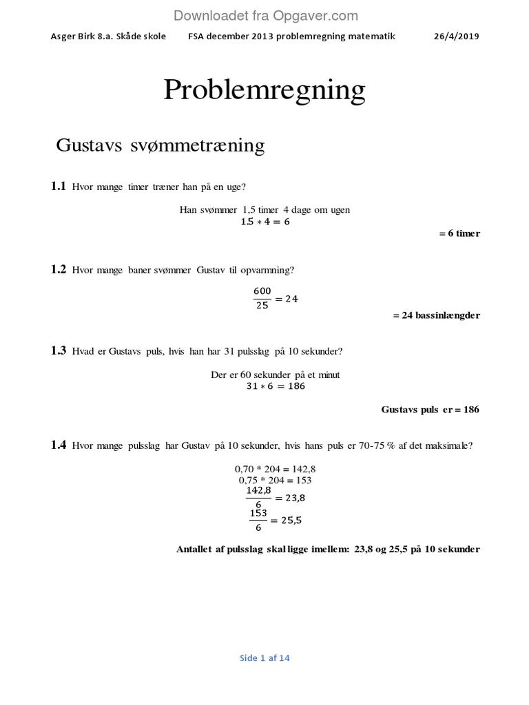 Problemregning FSA December 2013 | PDF