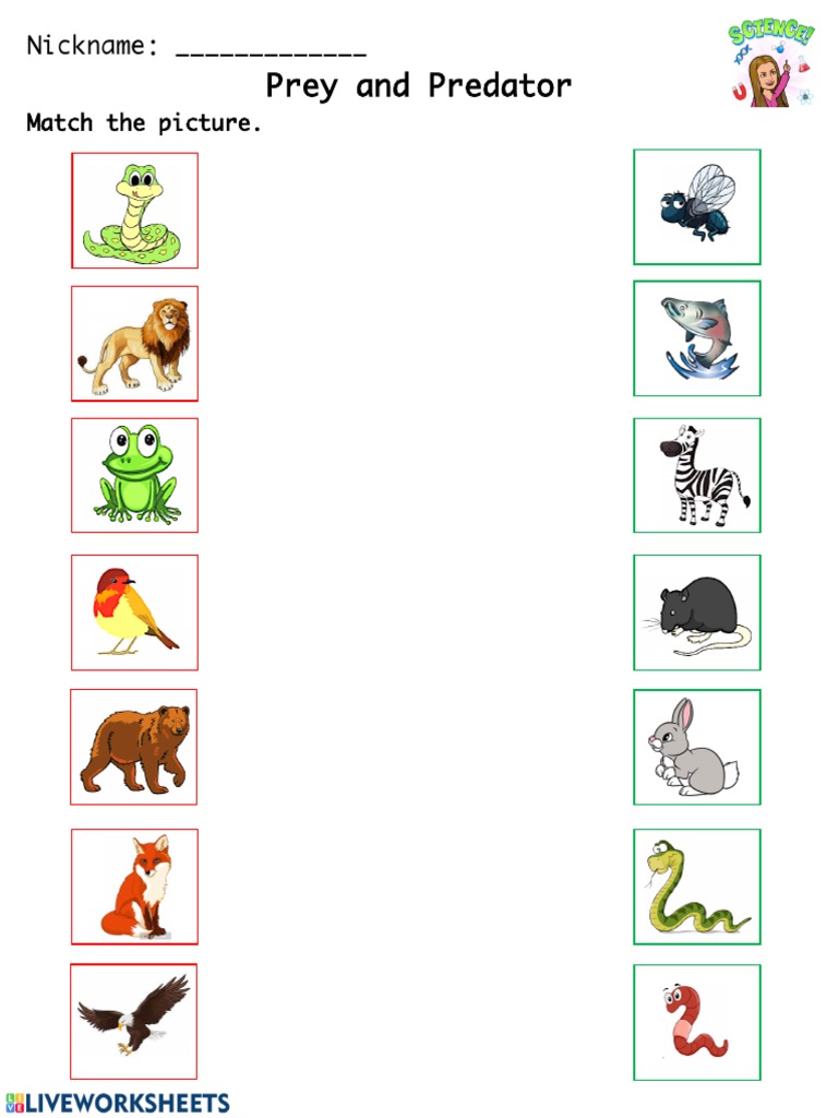 Prey and Predator | PDF