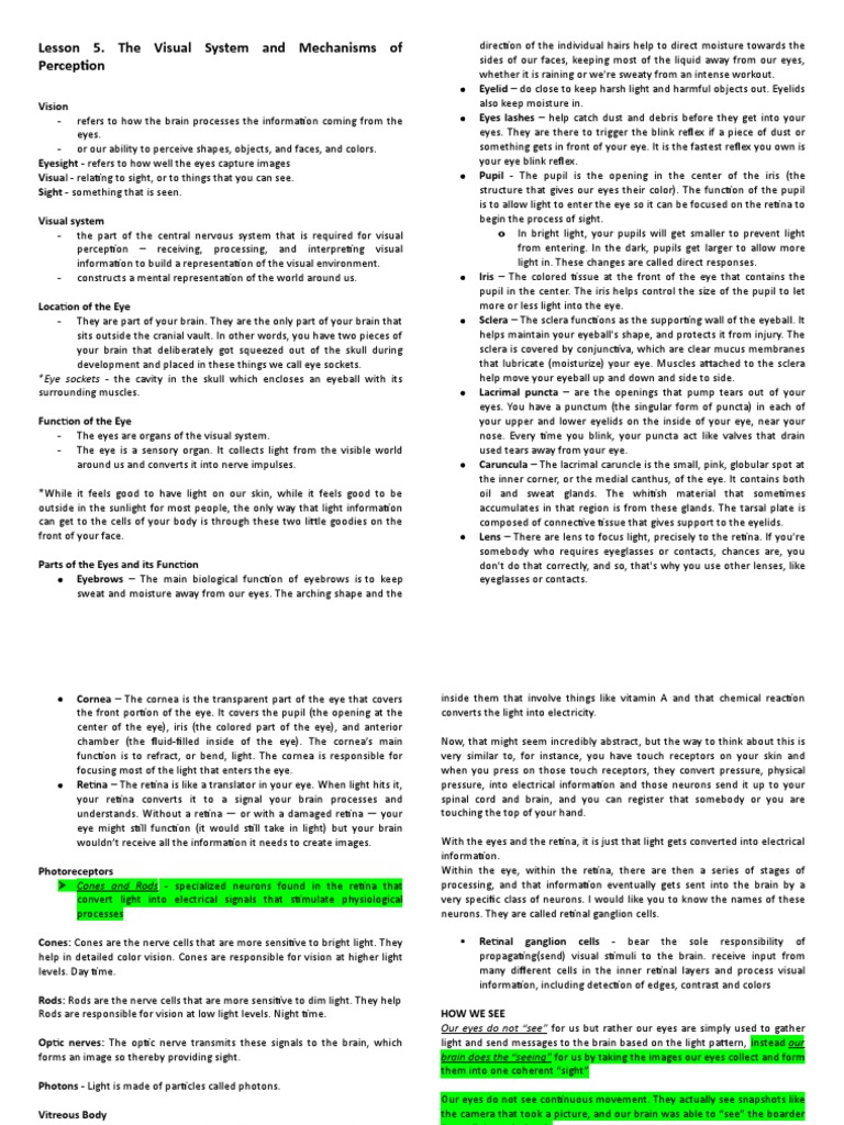 5 - The Visual System and Mechanisms of Perception | PDF | Ear | Senses
