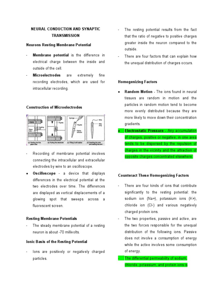4 - Neural Conduction and Synaptic Transmission | PDF ...