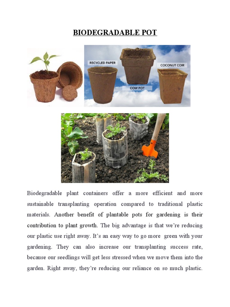 Biodegradable Pot | PDF | Home & Garden