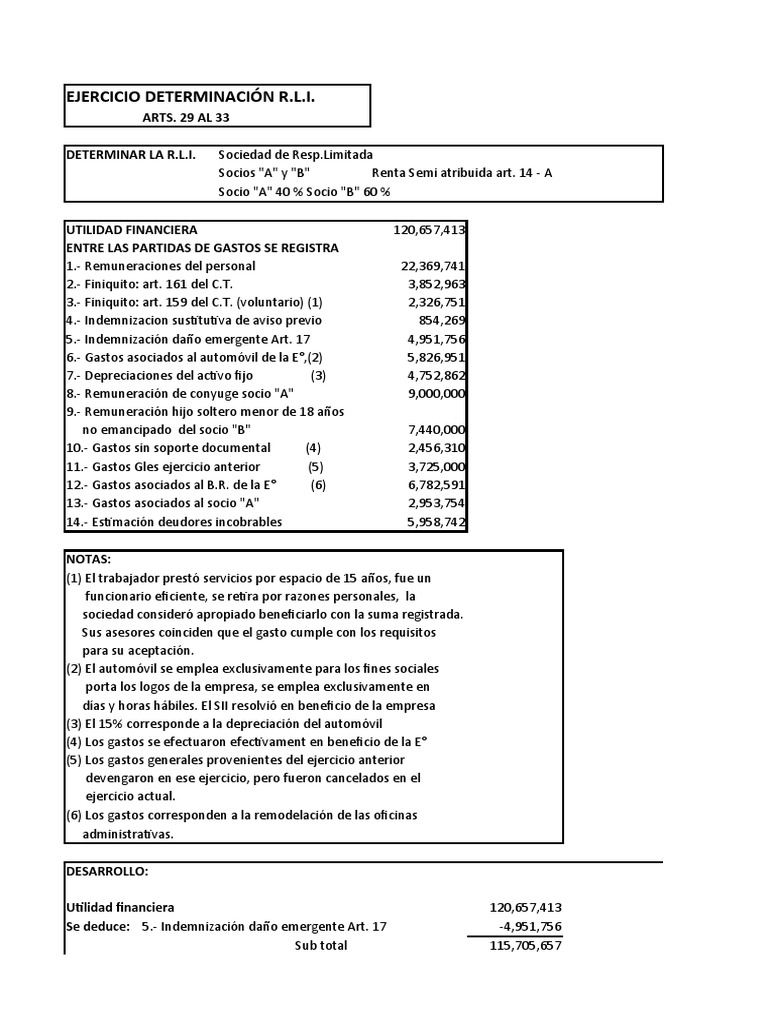 Renta Ejercicio Rli 21210 Exel | PDF | Economias