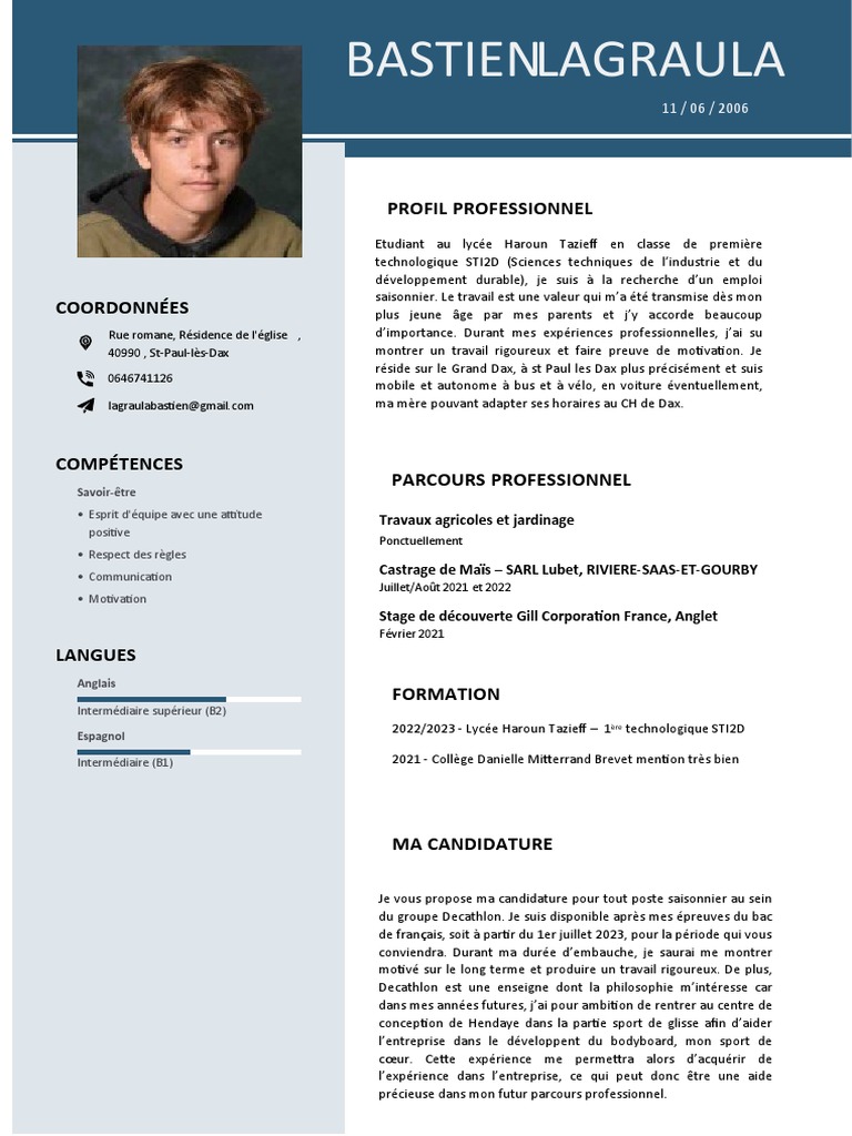Candidature emploi saisonnier Decathlon | PDF