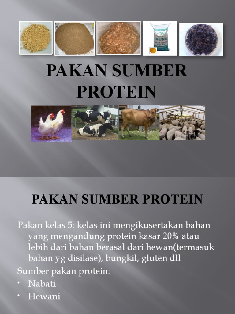 pertemuan 14. pakan-sumber-protein | PDF