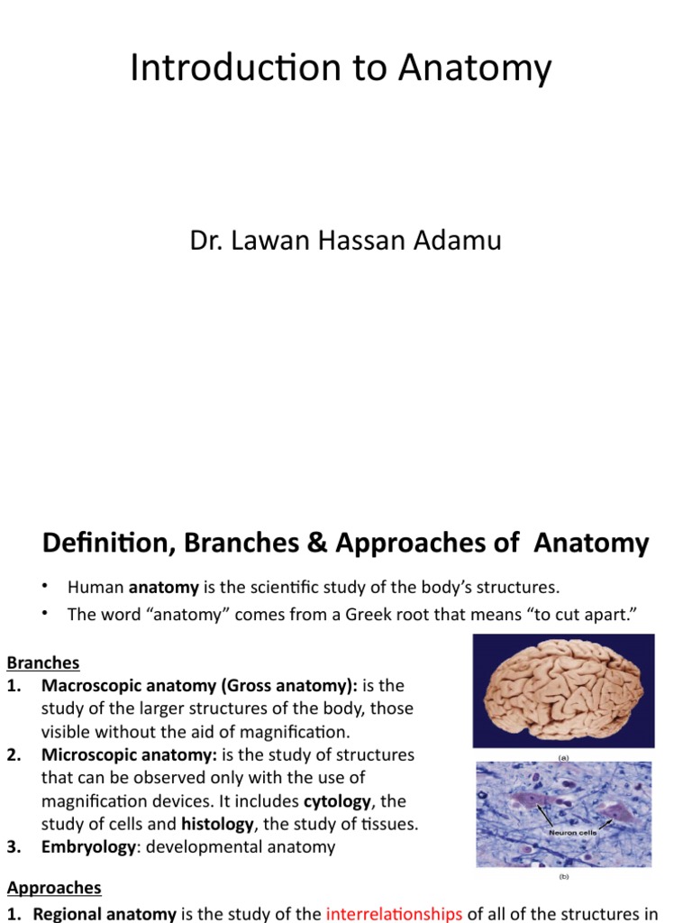General Anatomy | PDF | Anatomical Terms Of Motion | Skin