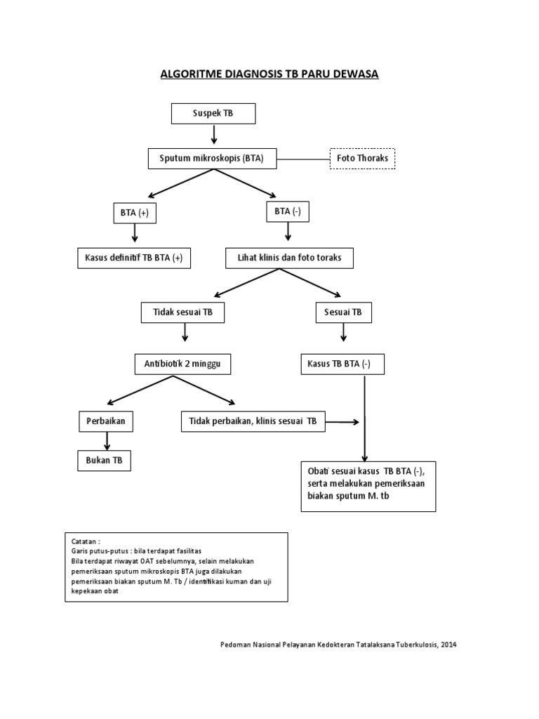 ALGORITME DIAGNOSIS TB PARU DEWASA (Alur Diagnosis) | PDF