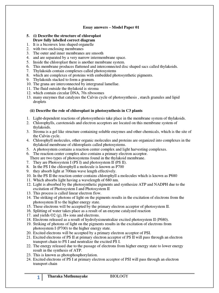 Essay Answers - Model Paper 01 | PDF | Plant Stem | Photosynthesis