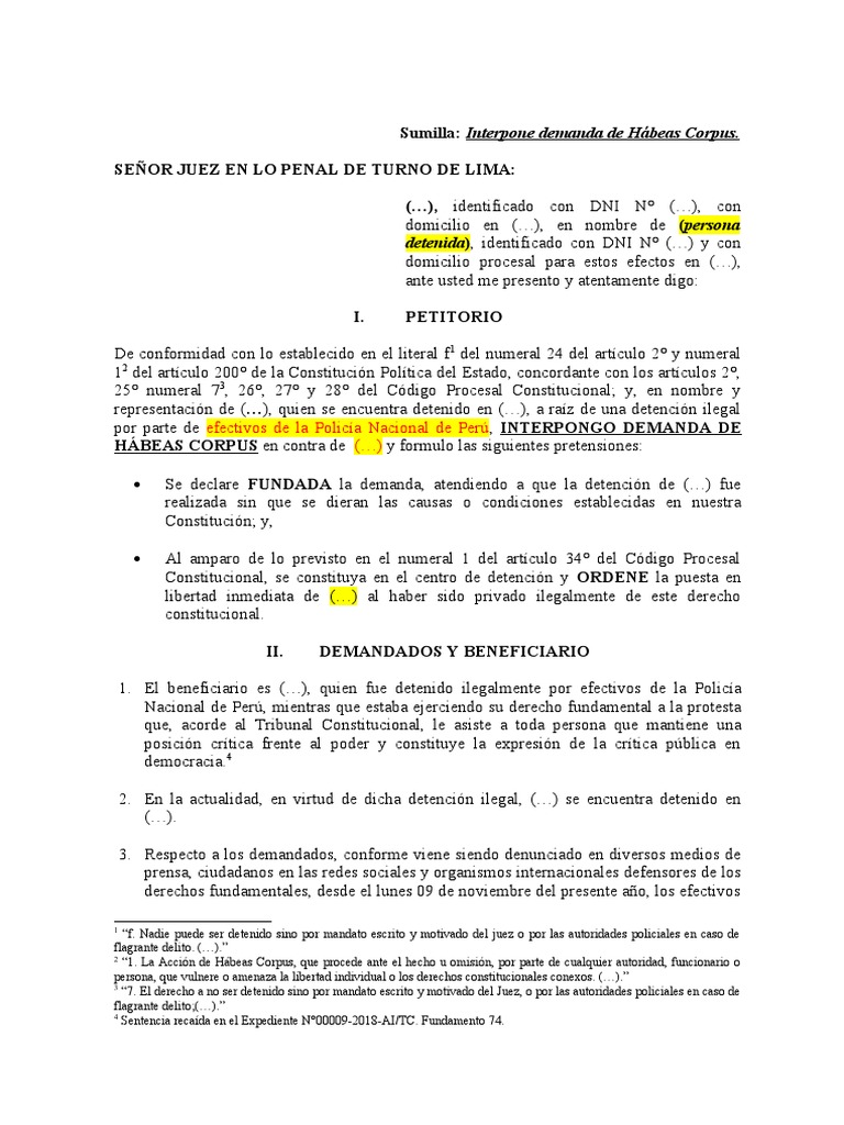 Interpone Demanda De Hábeas Corpus Modelo Pdf Habeas Corpus