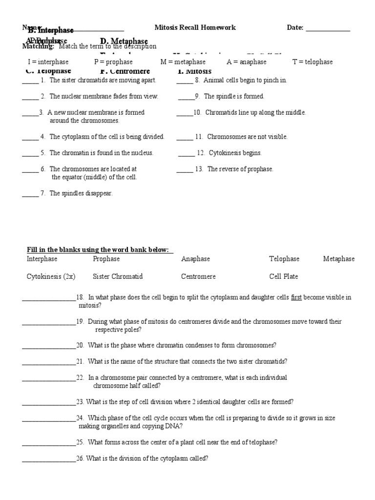Homework Handout | PDF | Mitosis | Biology