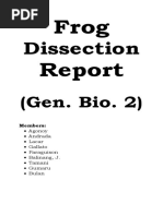 Lab Report - Frog Dissection | PDF | Frog | Anatomy