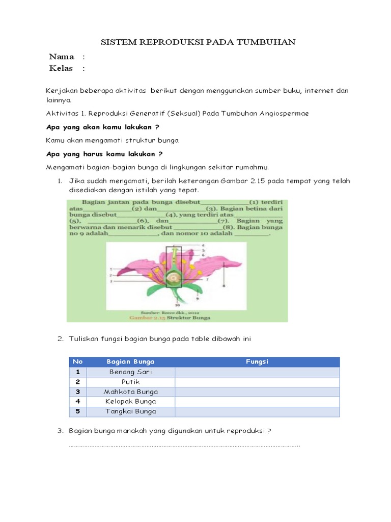 Tugas 1 Ipa Kelas 9 - Sistem Reproduksi Pada Tumbuhan | PDF