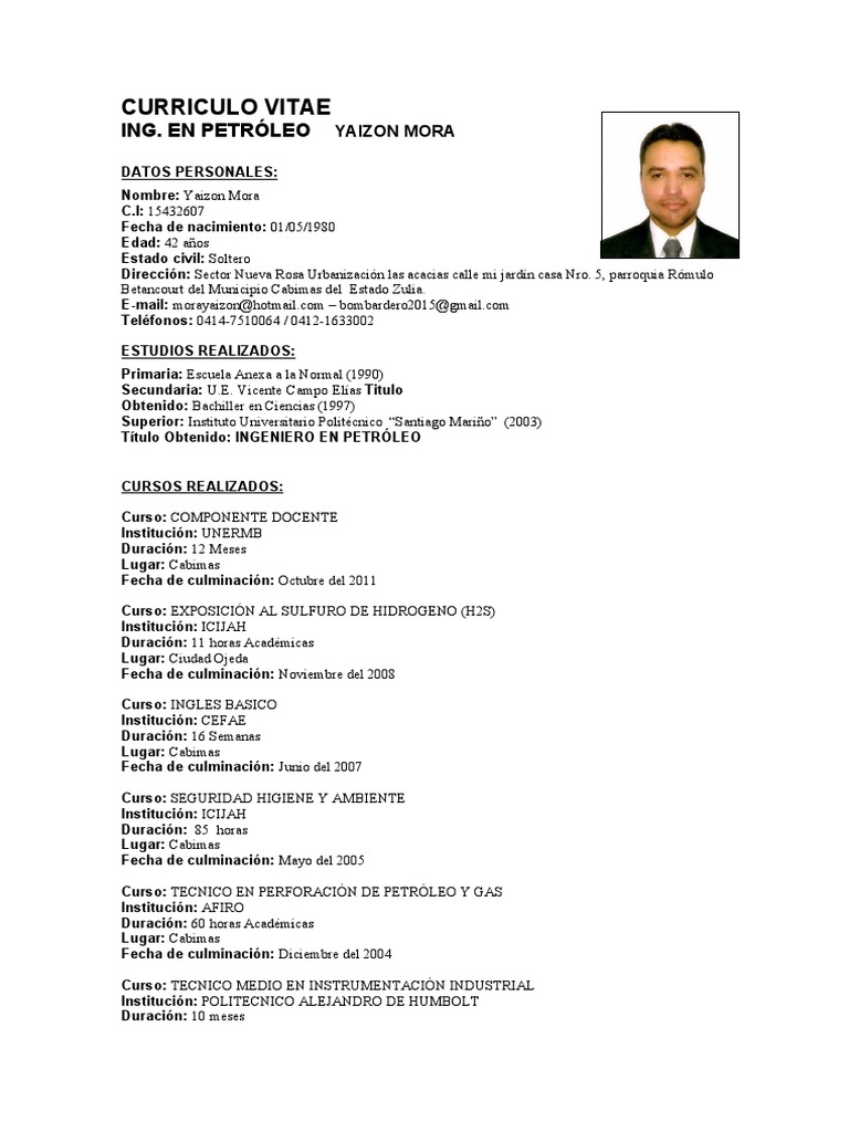 CURRICULO 2022 Ing. Yaizon Mora | PDF | Petróleo
