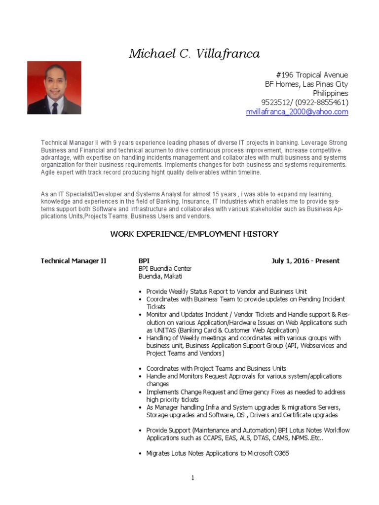 Michael Villafranca: IT Manager Profile | PDF | Databases | Scripting ...