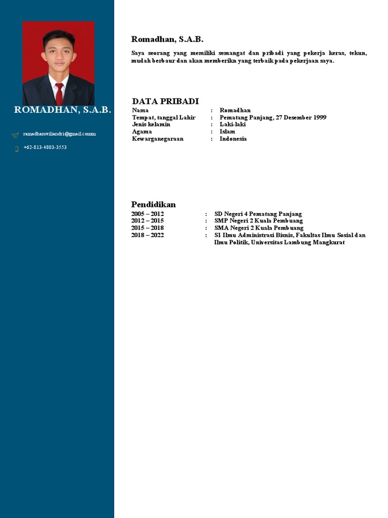Free CV Template 5 | PDF