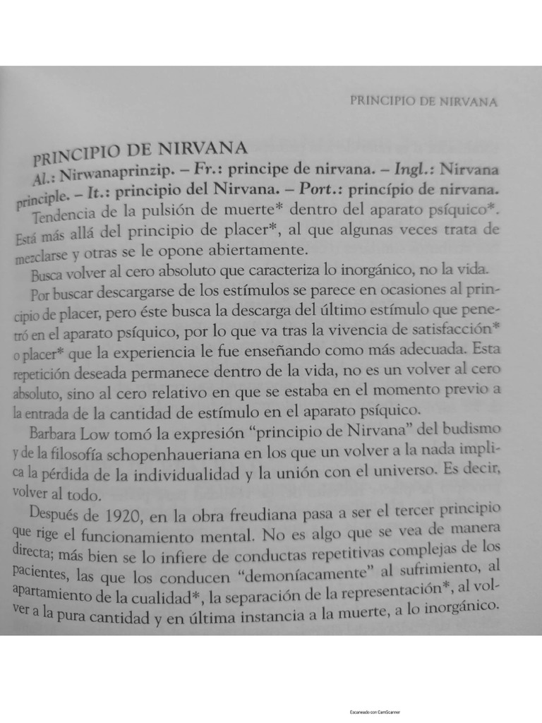 Principio de Nirvana, Def VALSS | PDF