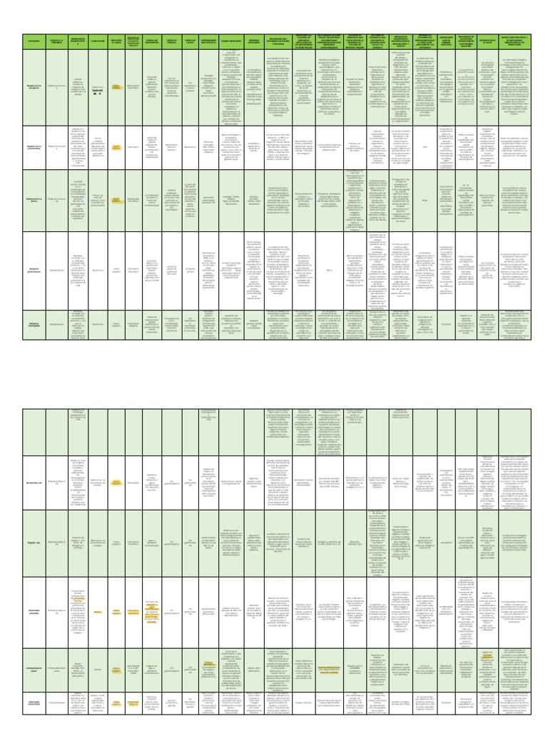 Bacterio Log i A | PDF | Sistema inmune | Penicilina