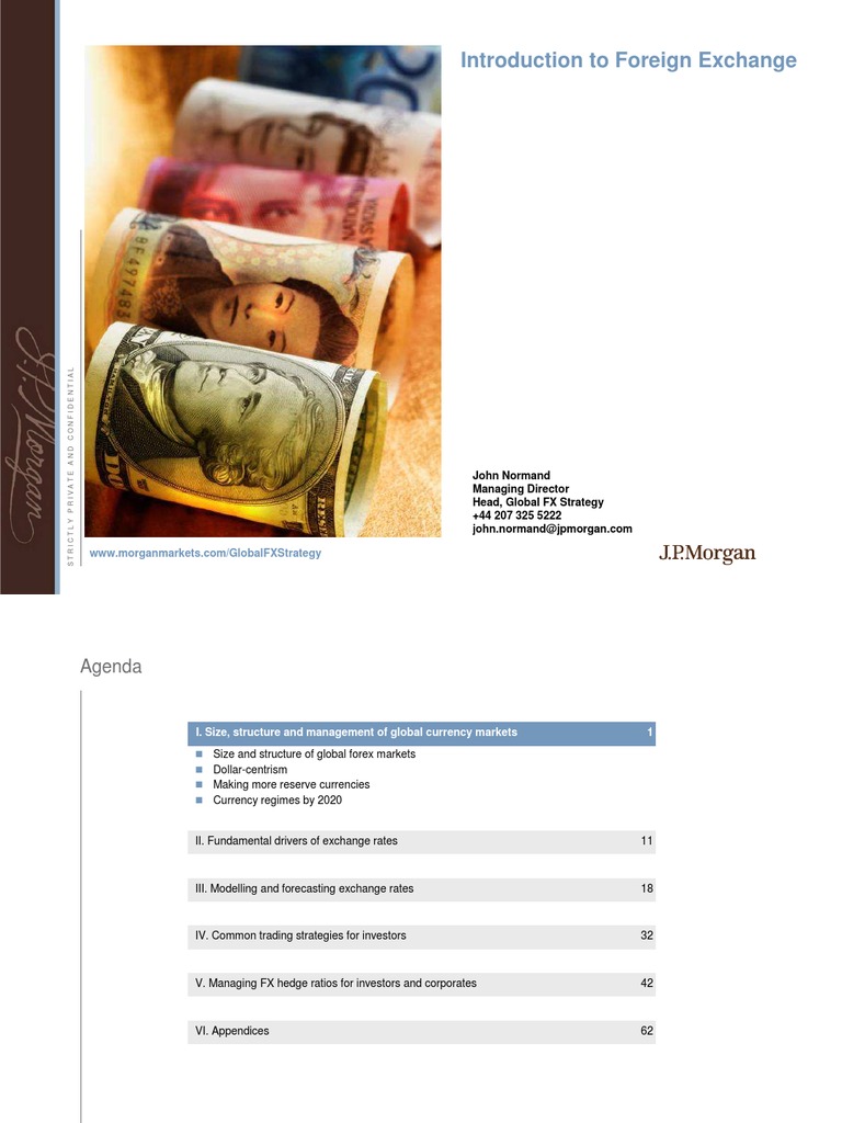 JPM - Introduction To Foreign Exchange | PDF | Foreign Exchange Market ...