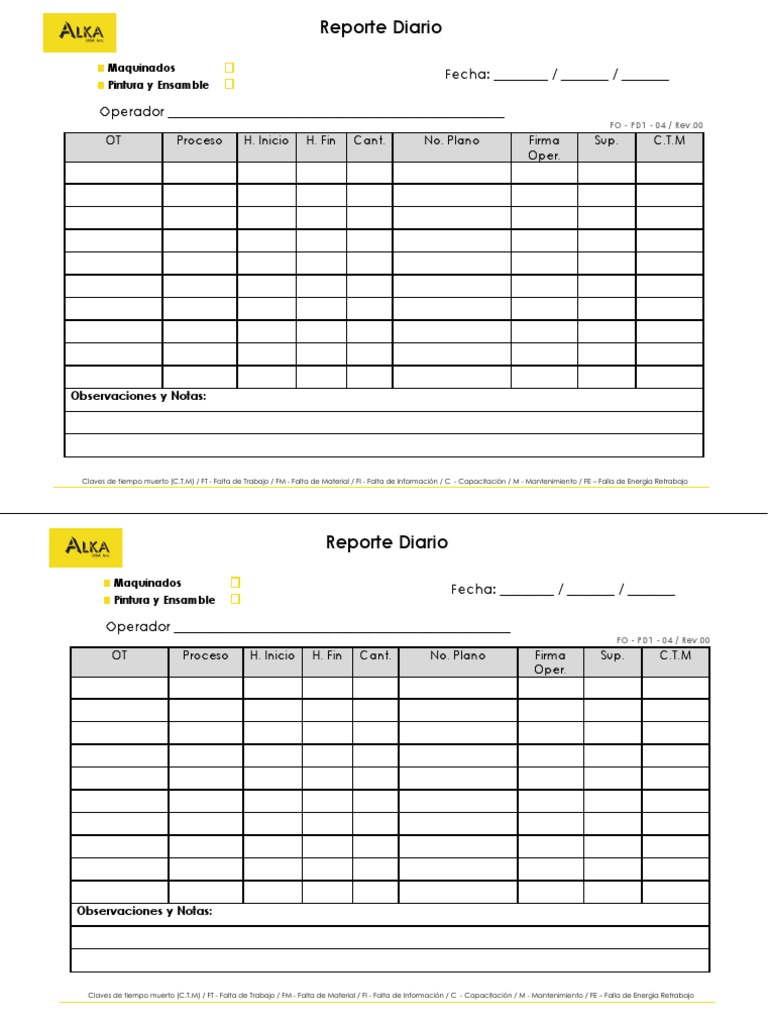 Reporte Diario | PDF