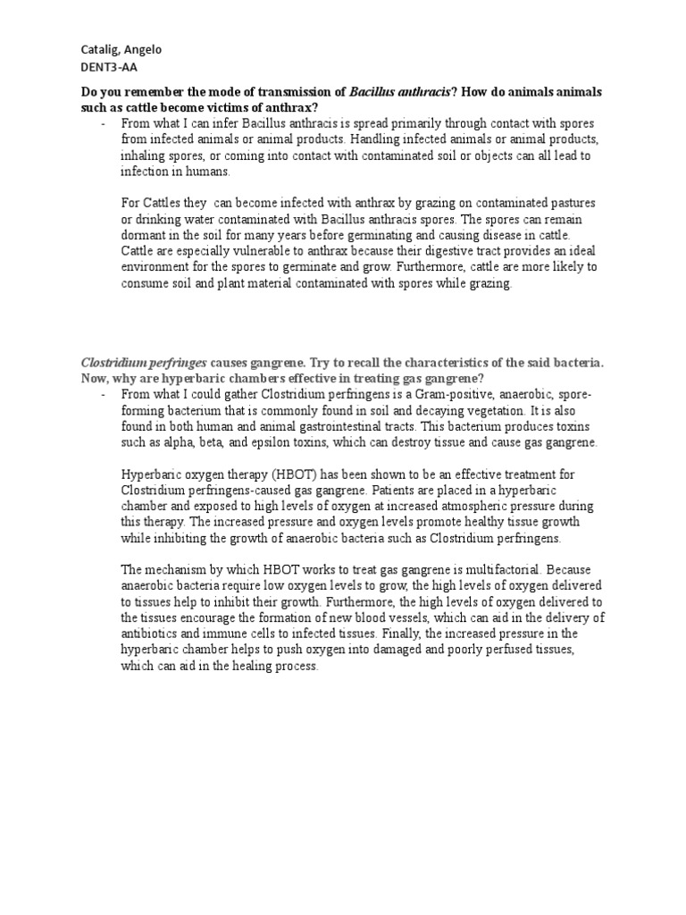 M5 Lesson 2 Check-In Activity On Bacilli | PDF | Bacteria | Anthrax