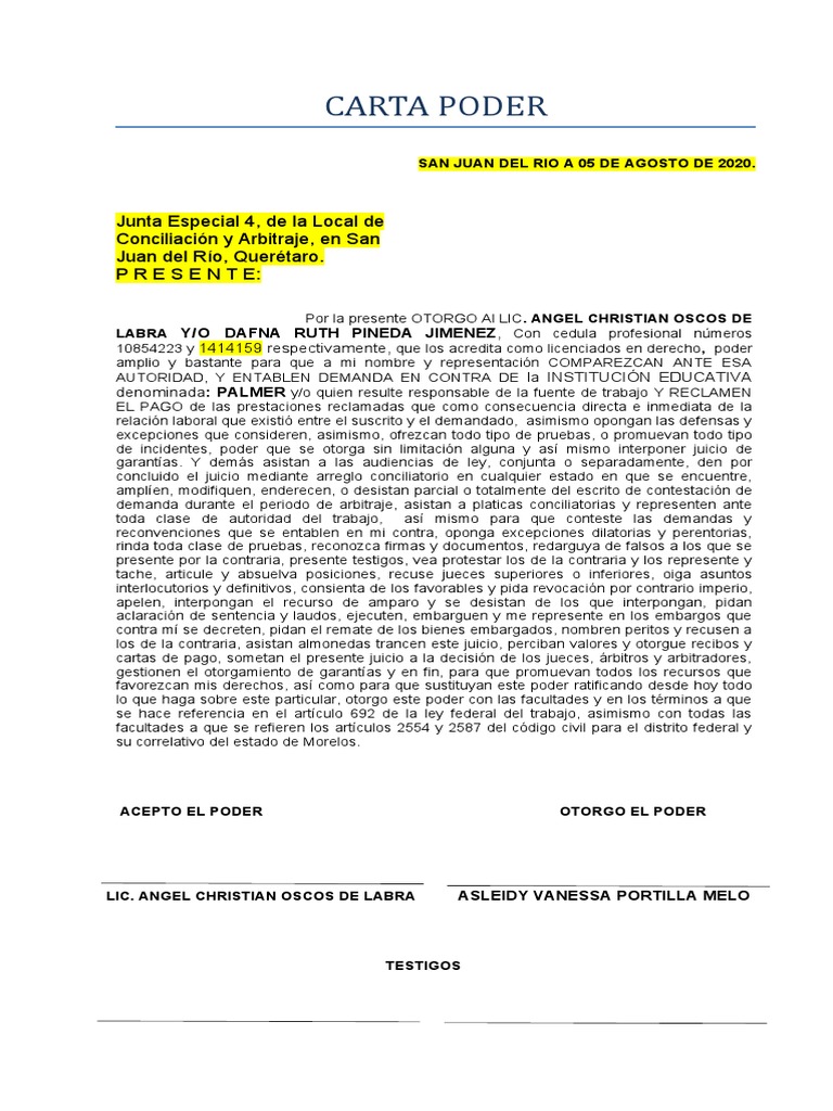 Carta Poder Laboral | PDF | Gobierno | Justicia