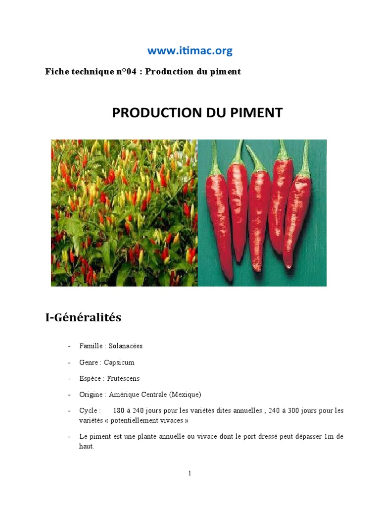 Fiche Technique N°04 - Culture Du Piment | PDF | Piment | Plantes