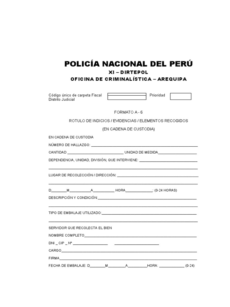 Cadena De Custodia Y Rotulo Formato A 6 Pdf Ley Pública Evidencia