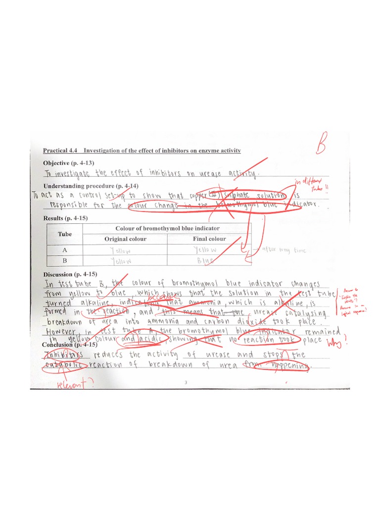 Edited - Practical 4.6 (Manual Provided) Investigation of Protease | PDF