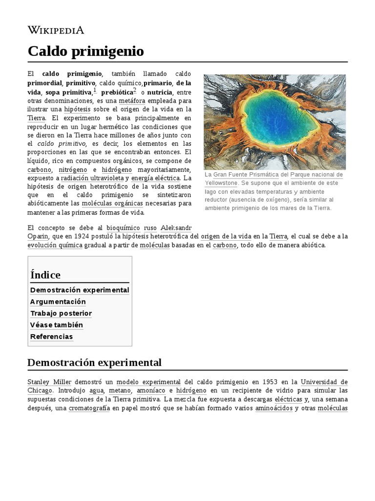 Caldo Primigenio | PDF | Biología Molecular | Ciencias de la vida