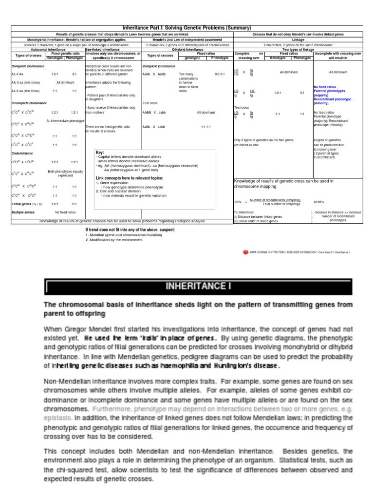 Inheritance | PDF | Dominance (Genetics) | Zygosity