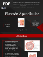 2 Obstruccion Intestinal Por Bridas y Adherencias | PDF | Medicina ...