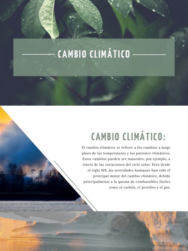 Cambio Climatico | PDF | Gases de efecto invernadero | Cambio climático