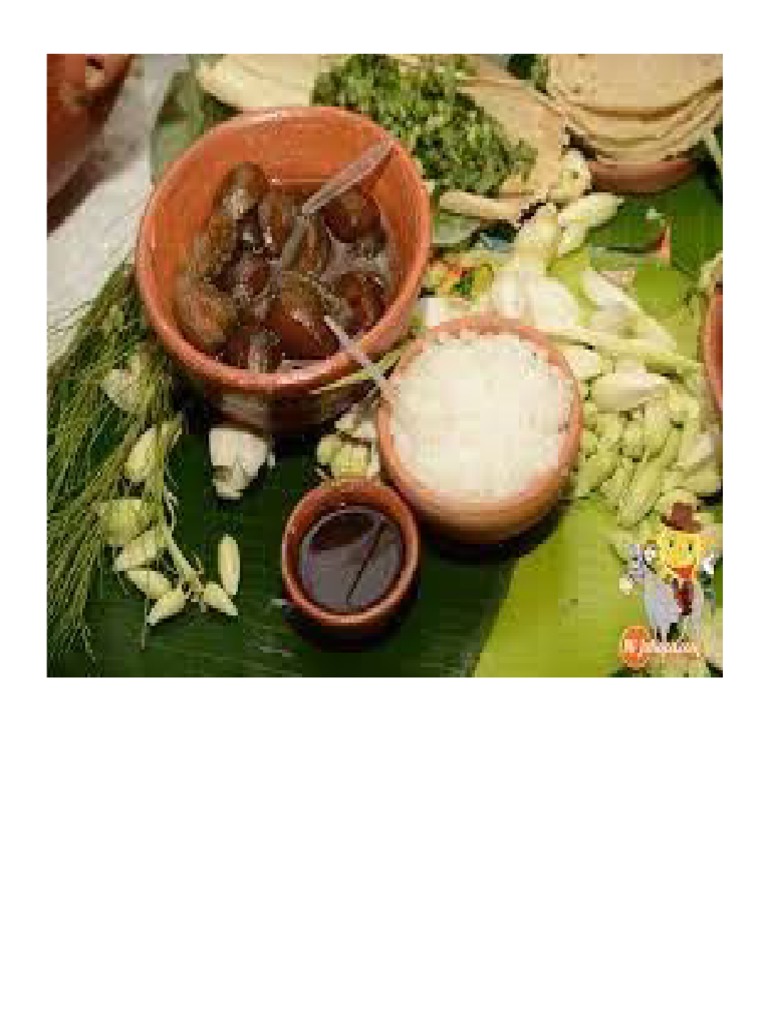 Imagenes de Comida Xinca | PDF