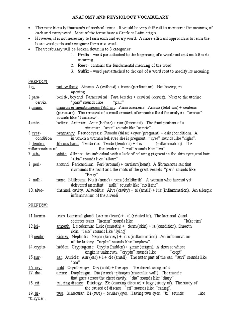 Anatomy and Physiology Vocabulary1 | PDF | Pancreas | Peritoneum Anatomy and Physiology Vocabulary1 | PDF | Pancreas | Peritoneum