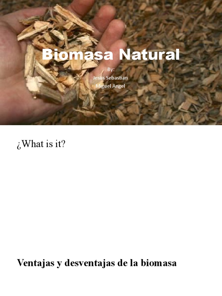 Biomasa Natural | PDF
