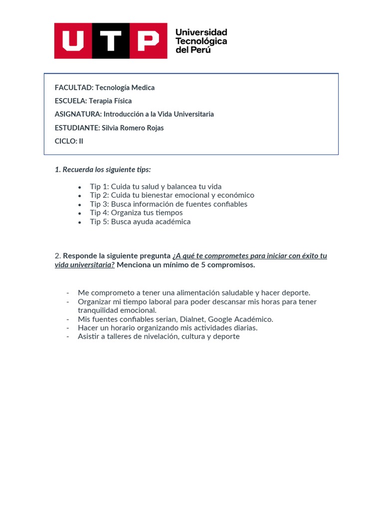 IVU Actividad2 SilviaRomeroRojas | PDF