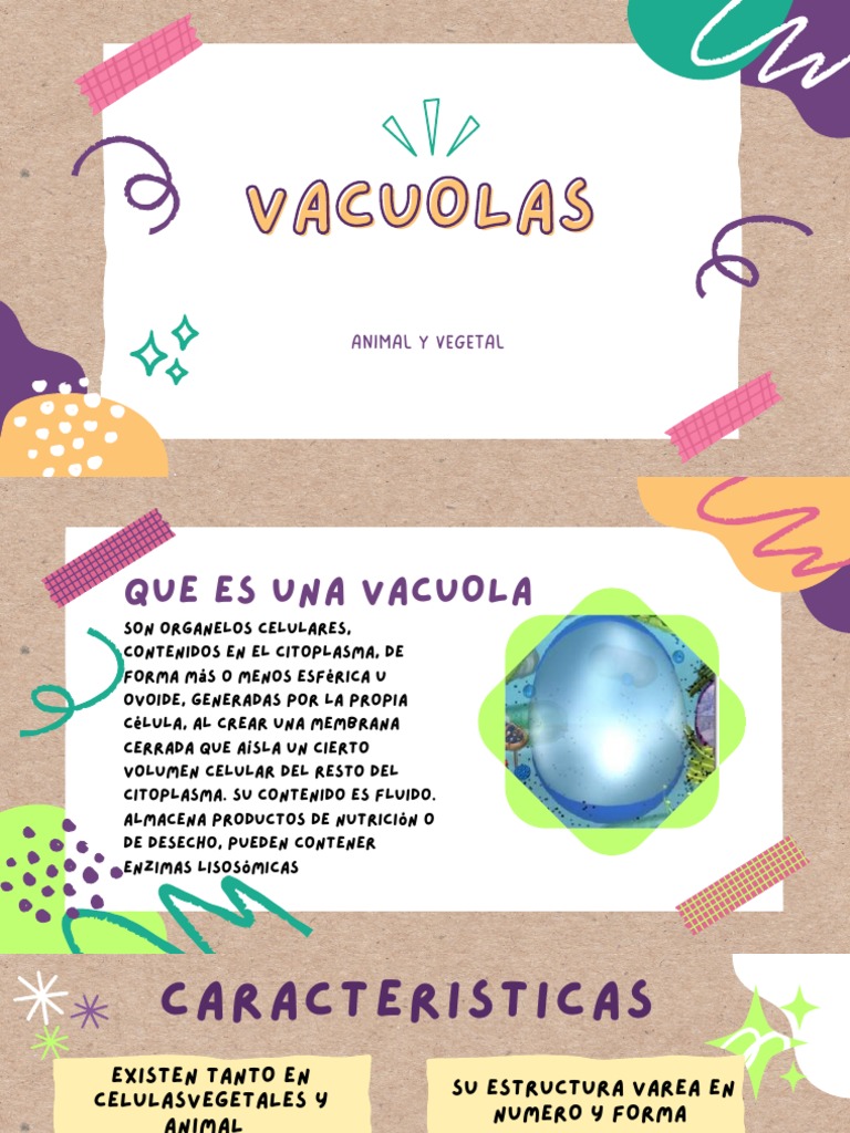 Vacuolas | PDF