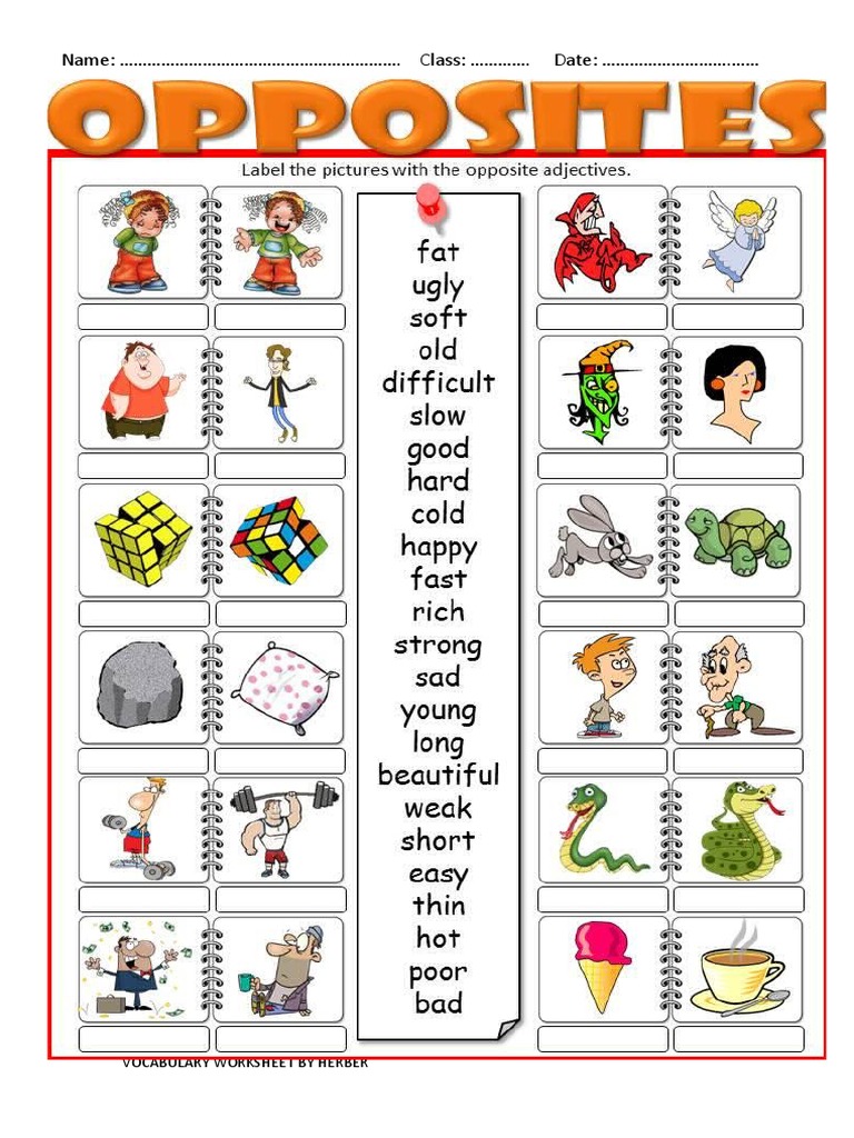 Adjective Opposites Worksheet | PDF