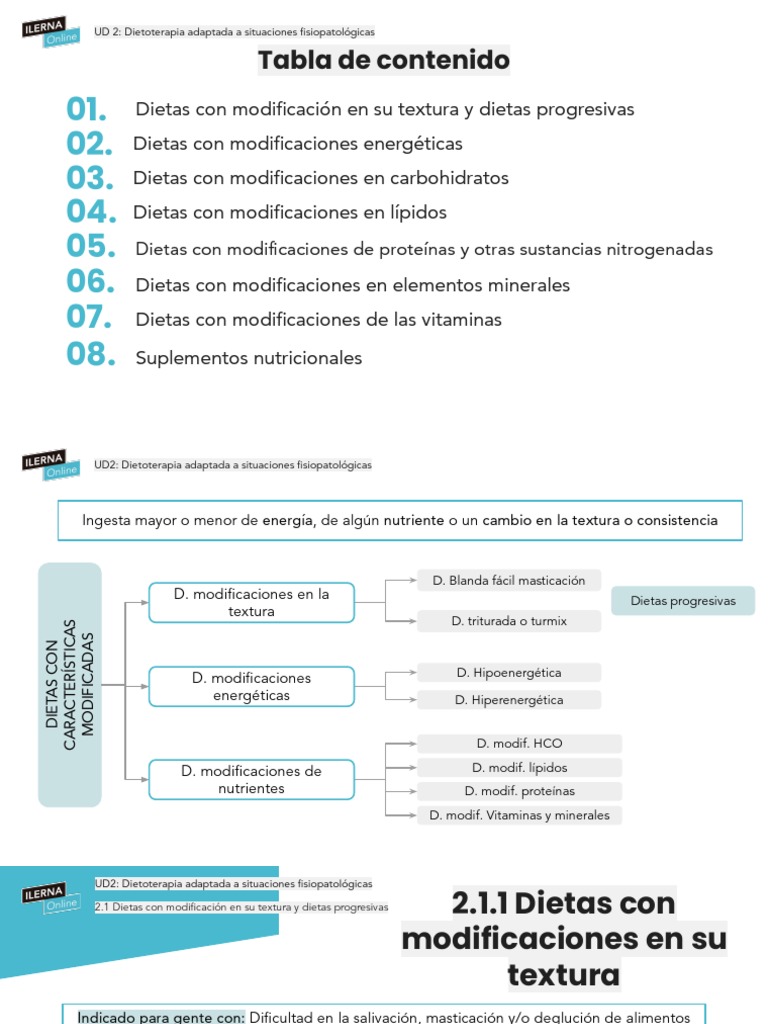 DIET C3 Dietoterapia UD2 | PDF | Dieta | Vegetales