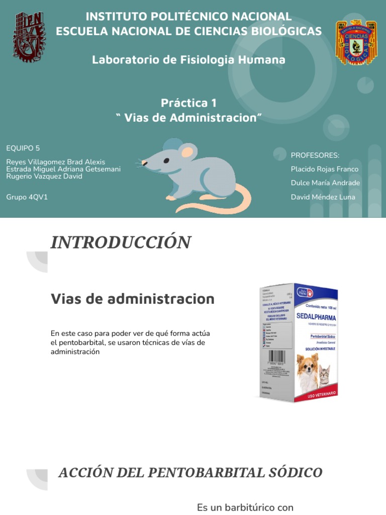 Efectos del Pentobarbital en Ratas | PDF | Inyección (medicina ...