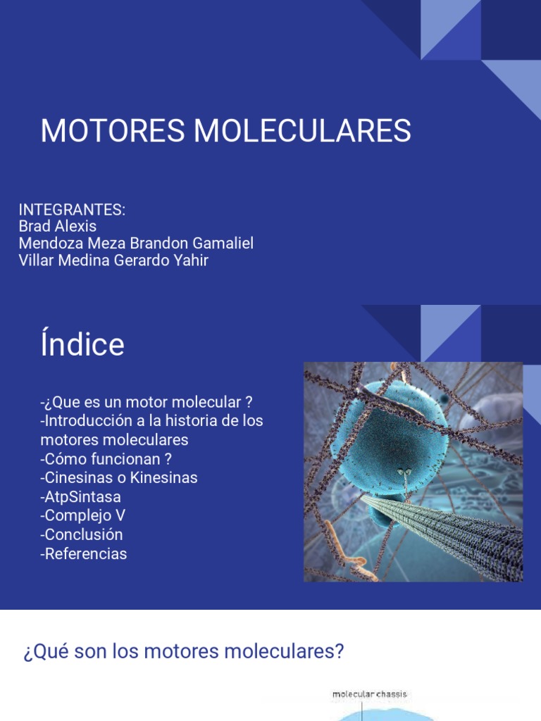 Motores Moleculares | PDF | Trifosfato de adenosina | Biología Celular