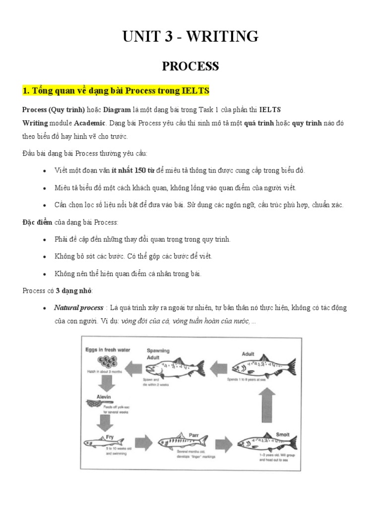 Unit 3 - Writing | PDF