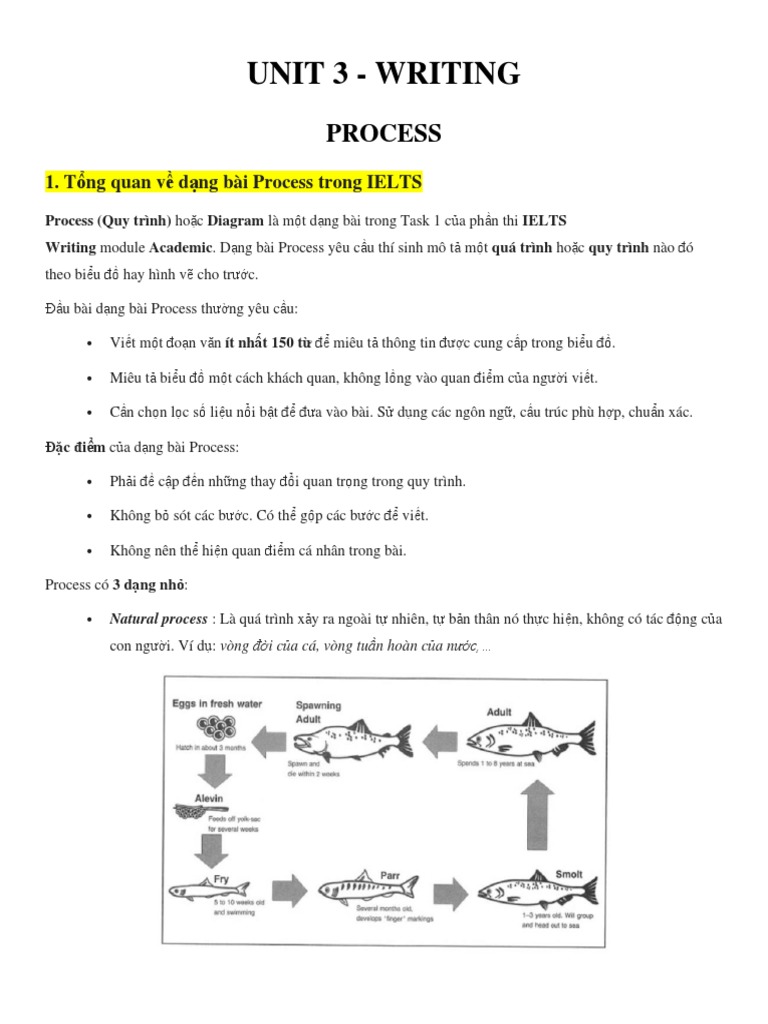 Unit 3 - Writing | PDF