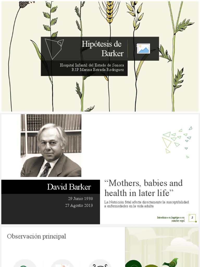 Hipótesis de Barker | PDF | Nutrición | Dieta y nutrición