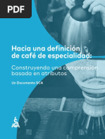 Formato SCAA (Esp) | PDF | Comida y bebida