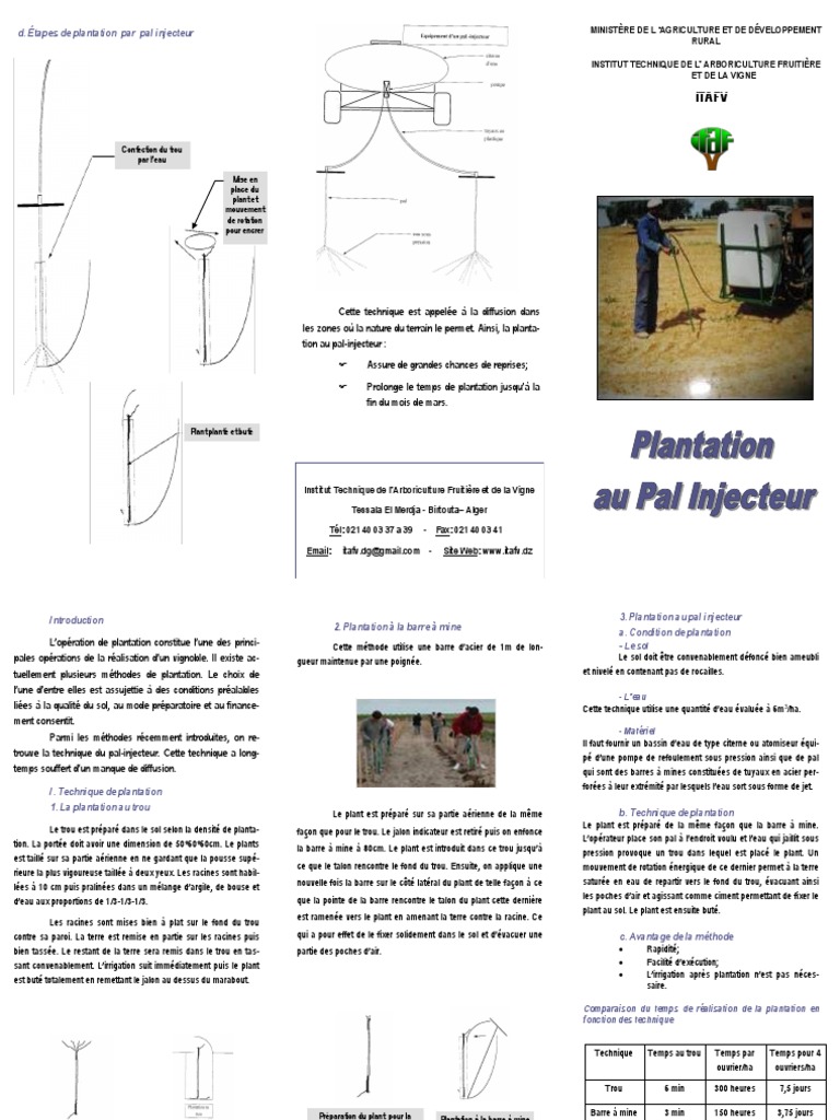 Plantation Efficace au Pal Injecteur | PDF