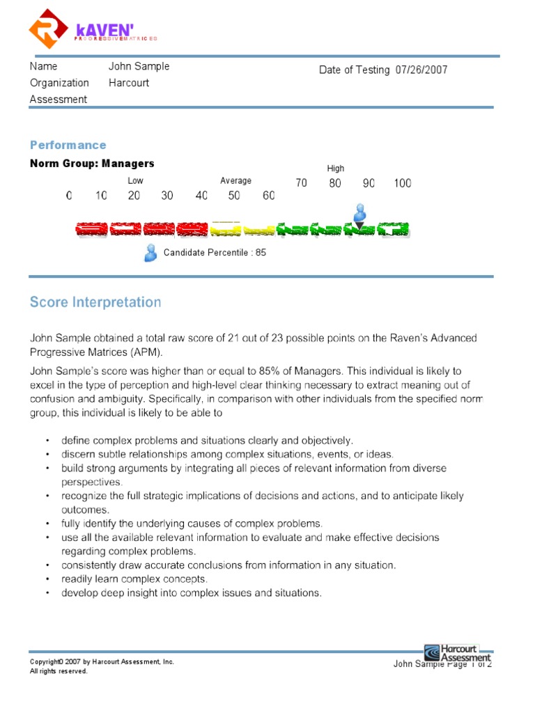 Ravens APM Sample Report | PDF